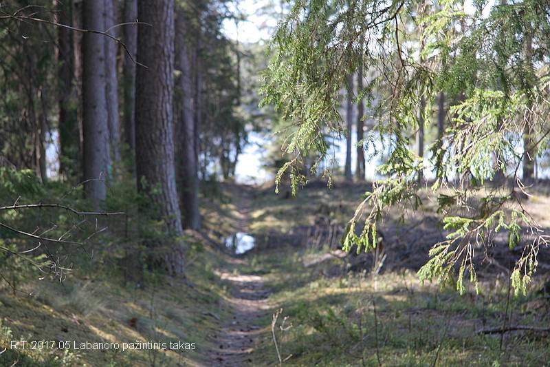 Labanoro regioninis parkas - Miestai ir architektūra