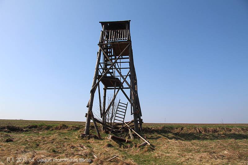 Dieveniškių "apendiksas" - Miestai ir architektūra